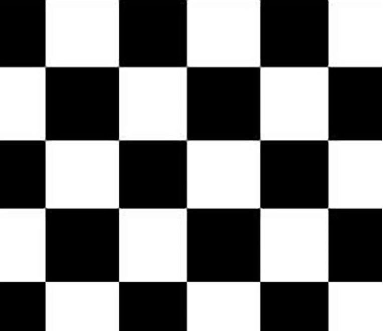 Cotton Tone on Tone 1" Squares Black and White Racing Check Pattern ...