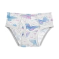 Cotton Triangle Briefs 2T-8Y, Comfortable Breathable Safety Standard ...