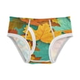 Cotton Triangle Briefs 2T-8Y, Comfortable Breathable Safety Standard ...