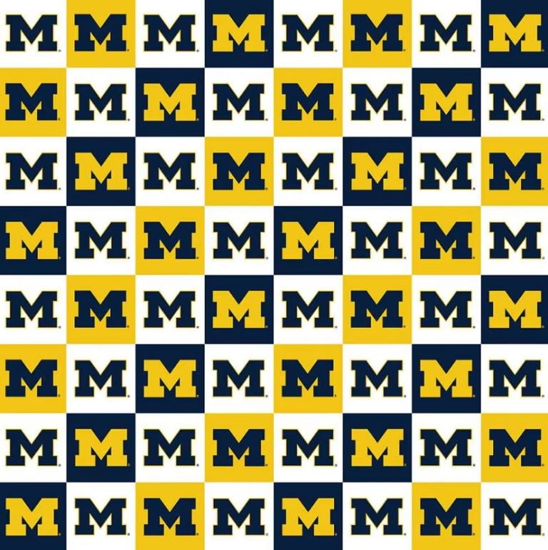 Cotton University of Michigan U of M Wolverines Check Cotton Fabric ...