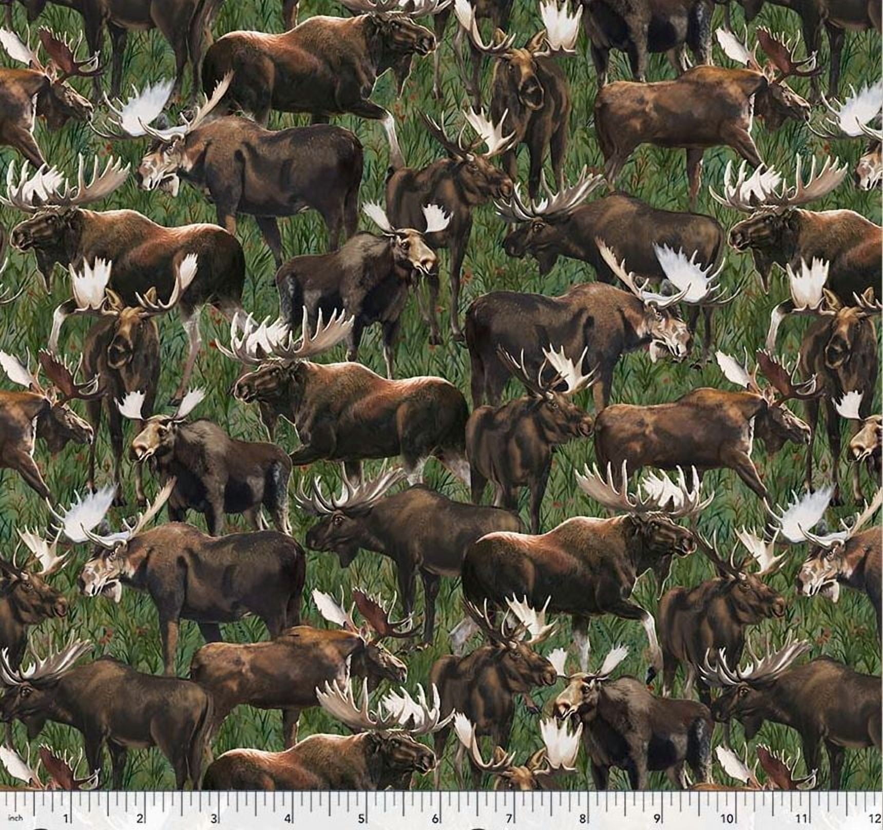 Cotton Wildlife Animals Moose All Over Landscape Grass Windham Fabrics ...