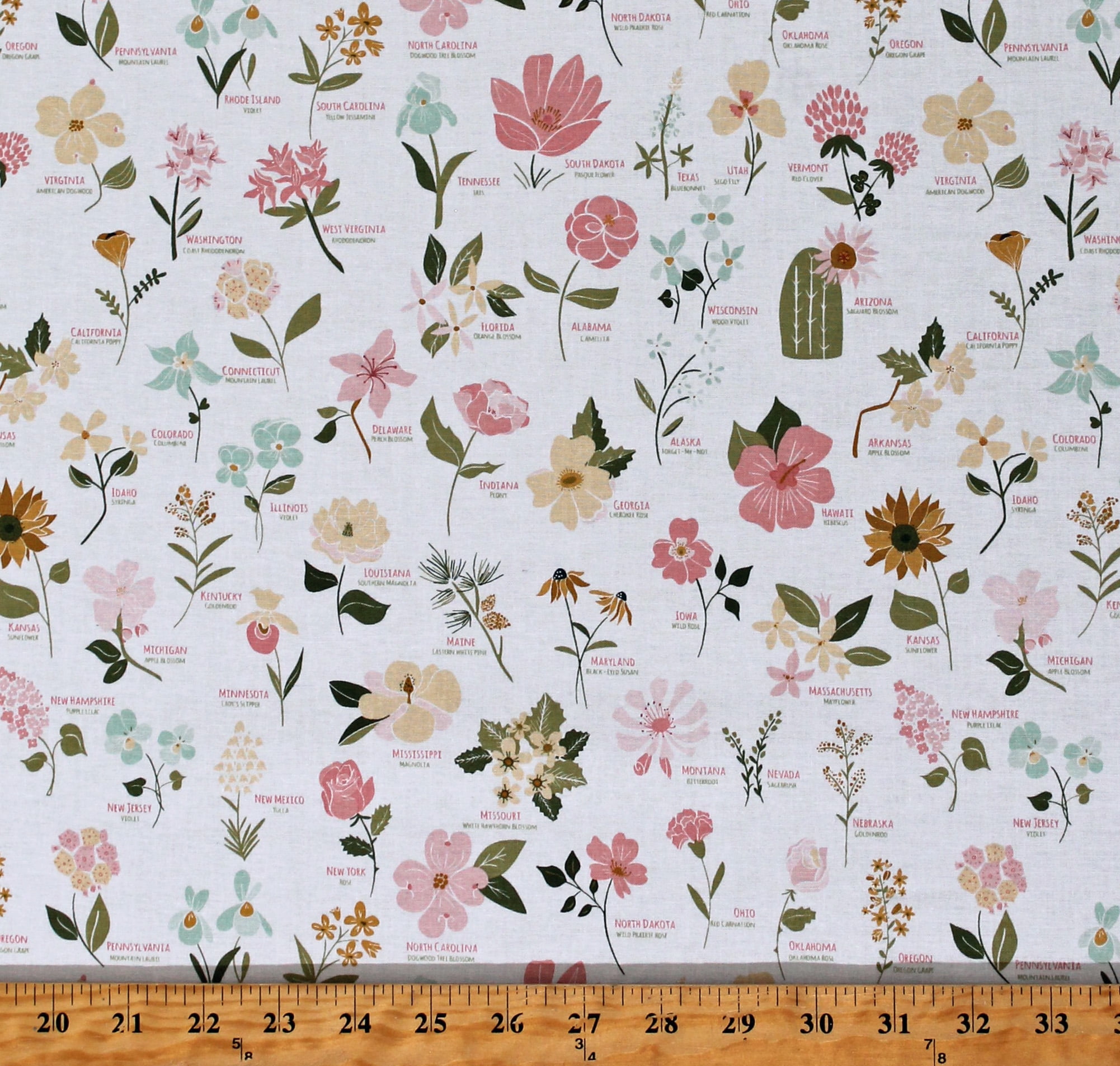 Cotton Wild and Free State Flowers Floral Plants Vegetation Nature ...