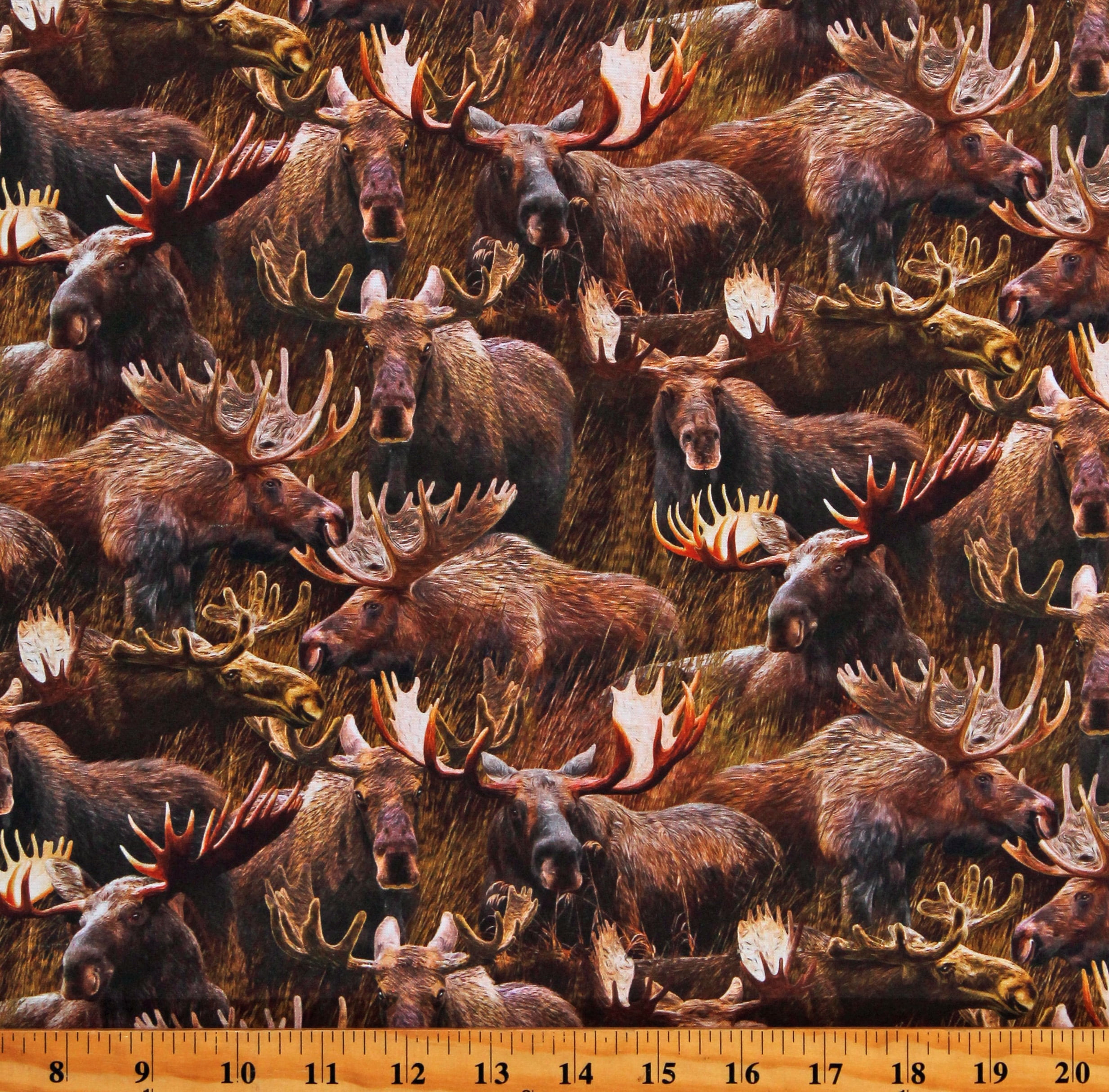Cotton Wilderness Moose Animals Woodland Creatures Grass Brown Cotton ...