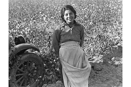Cotton picker- Fine Art Canvas Print (20" x 30") - Walmart.com