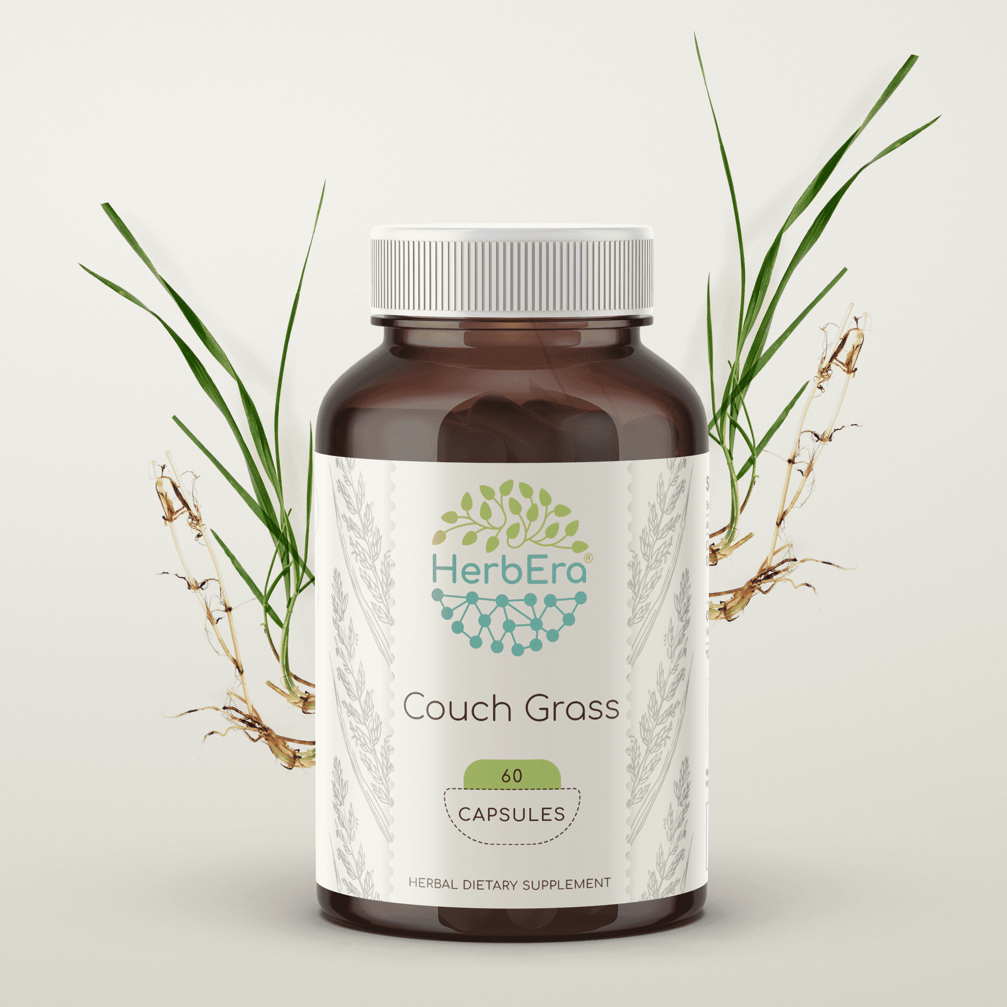 HerbEra Couch Grass Capsules, Herbal Dietary Supplement for Urinary ...