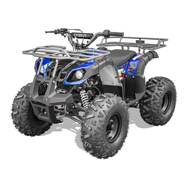 Tao Motor 250 Rhino 197CC 4-Stroke Engine Gas Four Wheeler All-Terrain ...