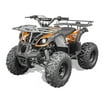 X-Pro 200cc Gas Powered Adult ATV Quad, Full Size 4 Wheeler with ...