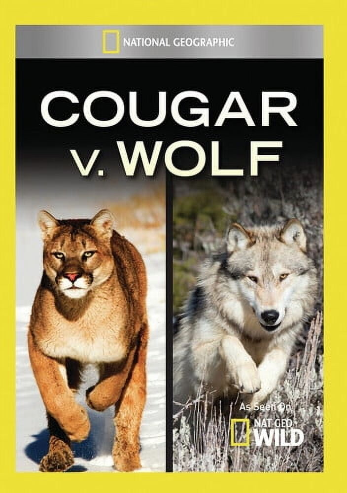 Cougar V Wolf (DVD), National Geographic, Documentary - Walmart.com