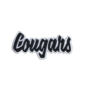 Tigers - Black/Red - Team Mascot - Words/Names - Iron on Applique/Embroidered Patch - Walmart.com