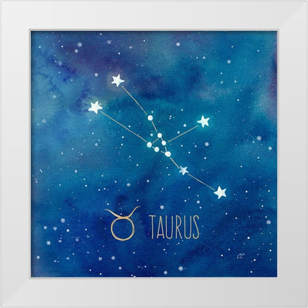 Coulter, Cynthia 12x12 White Modern Wood Framed Museum Art Print Titled ...