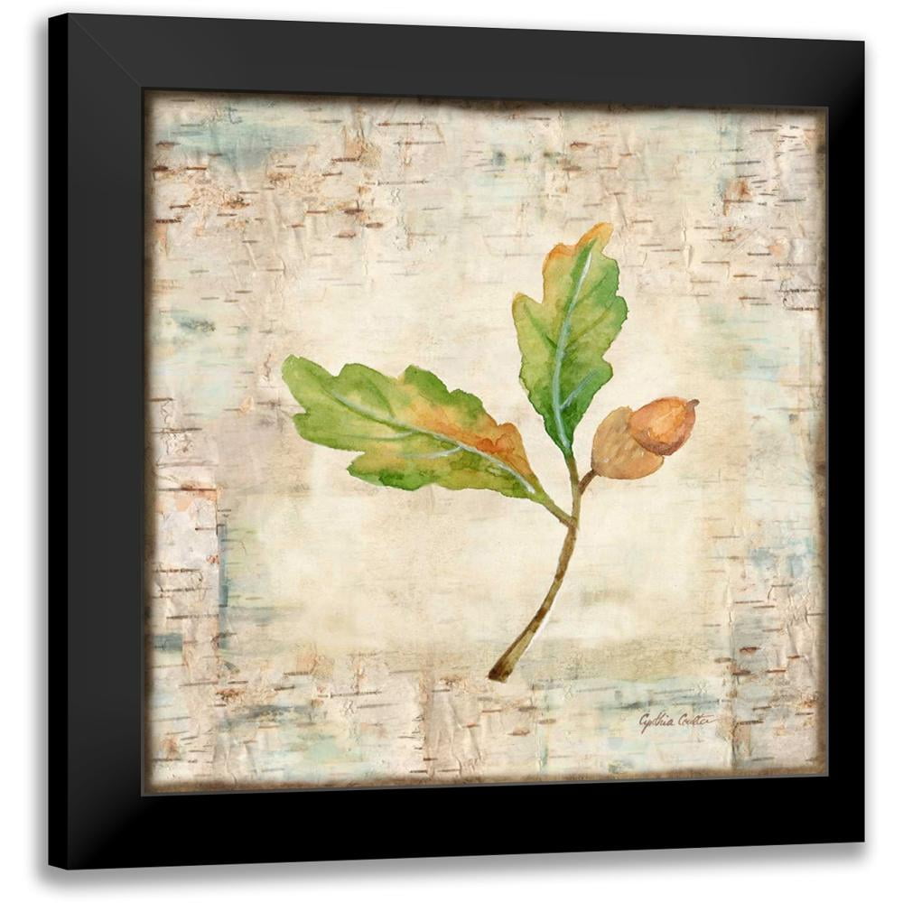 Coulter, Cynthia 15x15 Black Modern Framed Museum Art Print Titled ...