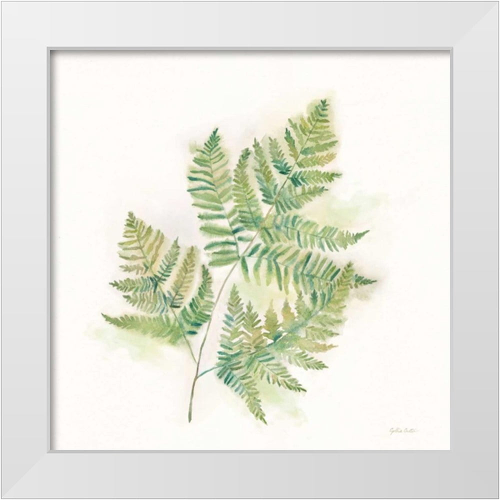 Coulter, Cynthia 15x15 White Modern Wood Framed Museum Art Print Titled ...