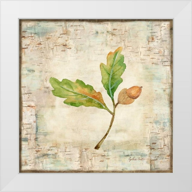 Coulter Cynthia 15x15 White Modern Wood Framed Museum Art Print Titled Nature Walk Leaves Ii