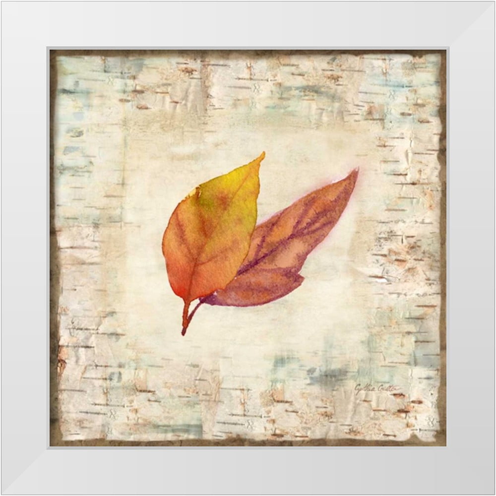 Coulter, Cynthia 15x15 White Modern Wood Framed Museum Art Print Titled ...