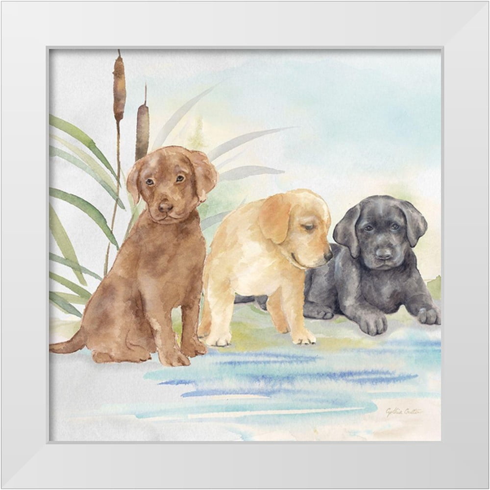 Coulter, Cynthia 20x20 White Modern Wood Framed Museum Art Print Titled ...