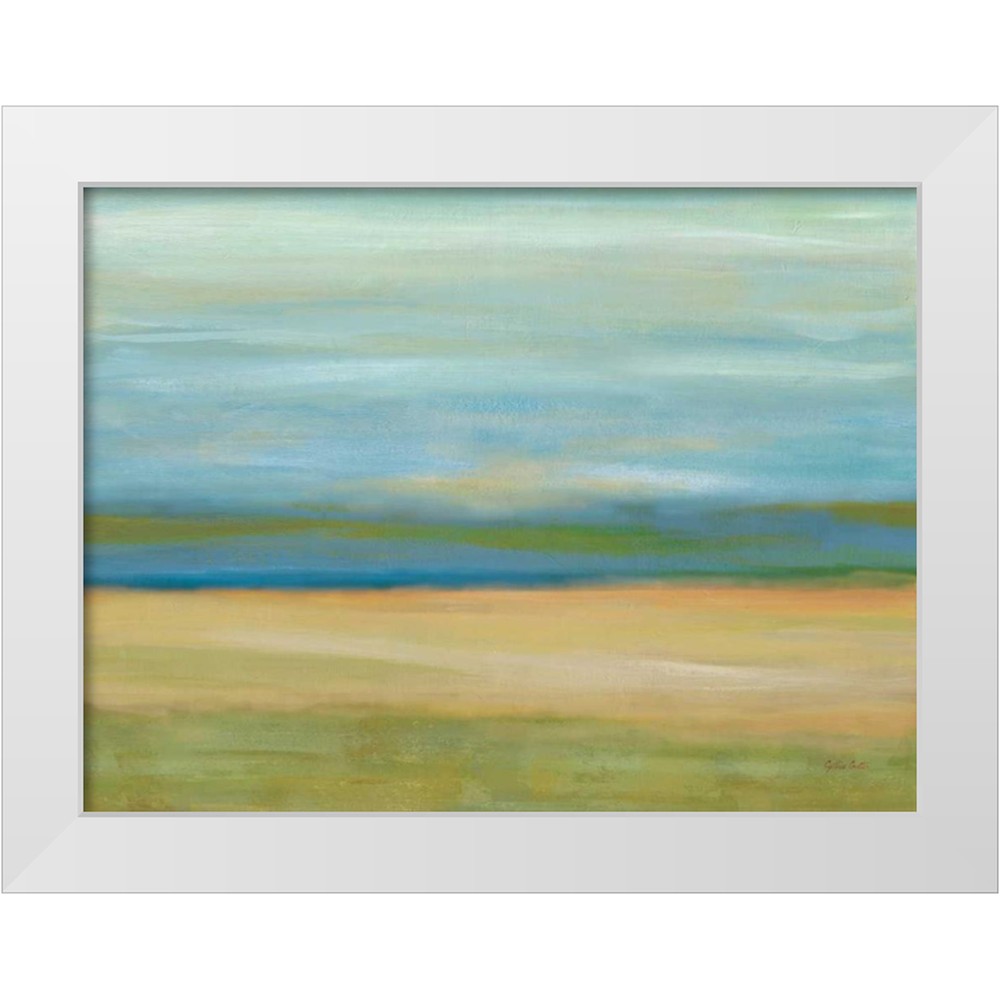 Coulter, Cynthia 32x25 White Modern Wood Framed Museum Art Print Titled ...