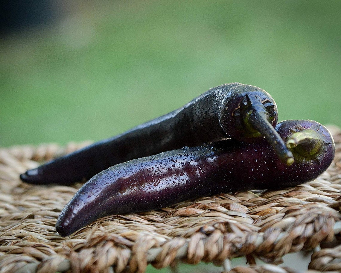 Sherwood's Seeds 10 Count Dracula Vampire Plant Seeds - Walmart.com