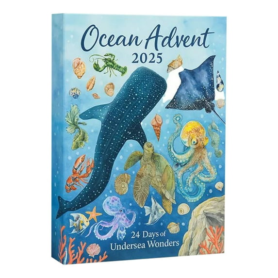 Countdown Sets 2 2025 Mystery Countdown Advent Calendar with Themed Collectibles for Family ...