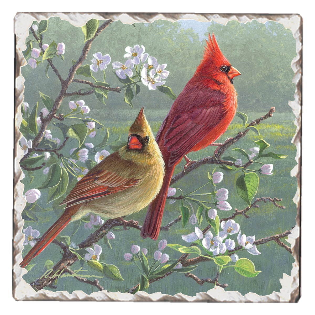 CounterArt "Style 1 Cardinals" 1 Pack Colorful Single Absorbent Tumbled ...