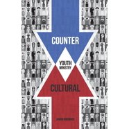 Superbook a Giant Adventure: David and Goliath - Walmart.com