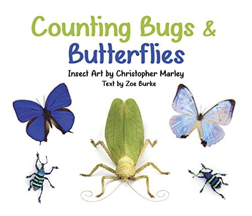 Pre-Owned Counting Bugs and Butterflies: Insect Art by Christopher ...