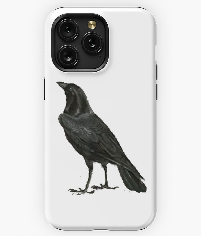 Counting Crows Sunset Raven Art M192 Phone Case for iPhone 17 16 15 14 ...