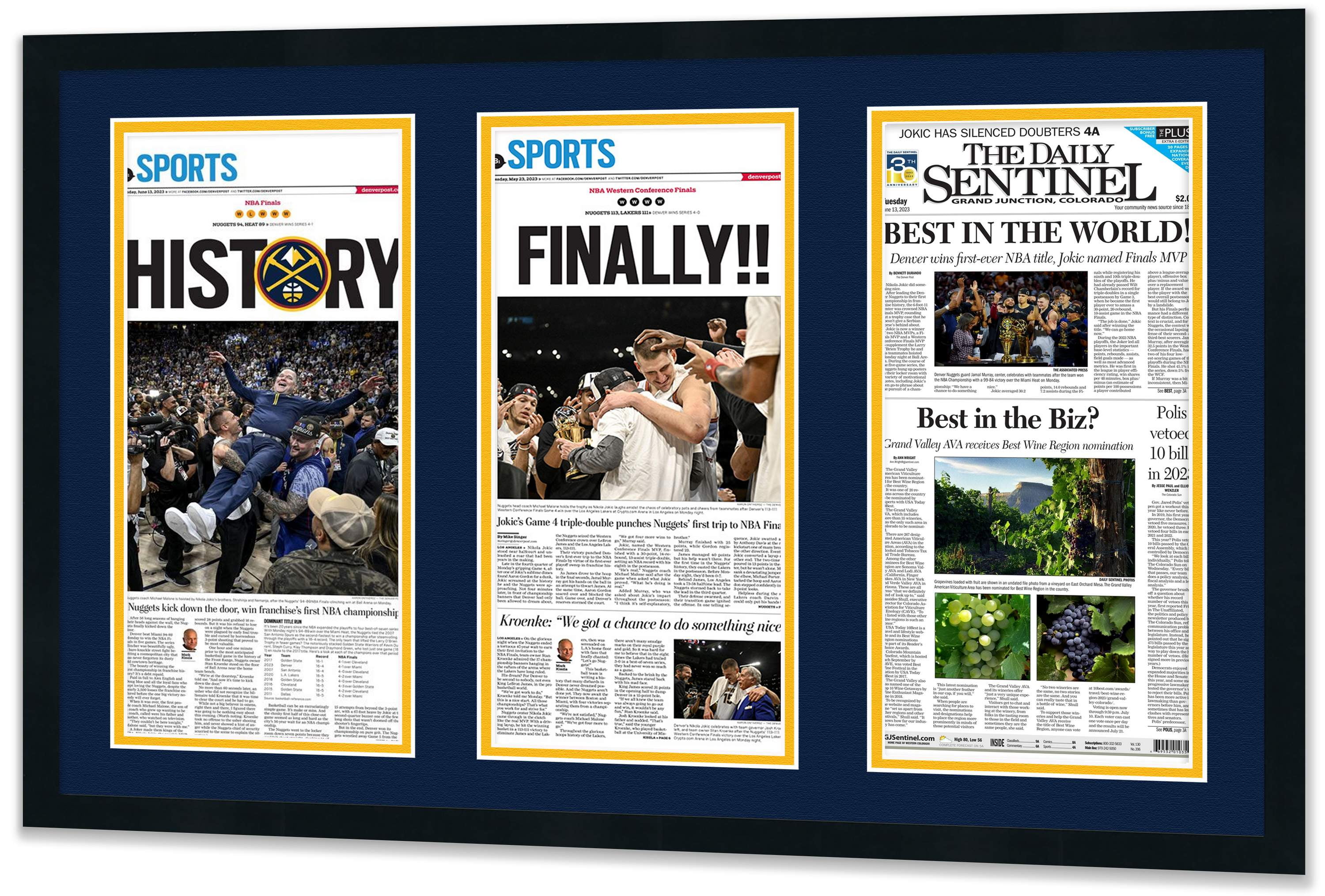 CountryArtHouse Triple Newspaper Frame, Midnight Blue Navy, 27x40 in ...