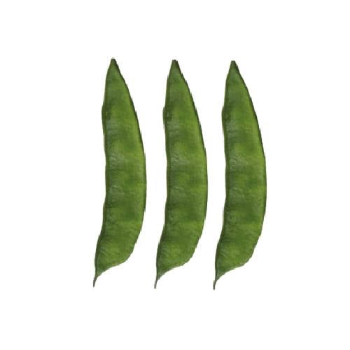 Country Bean Seeds - MS-7 for Planting - 20g - Walmart.com