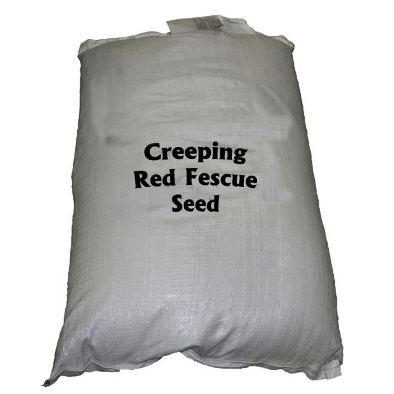 Country Boy Seed 5 lbs Creeping Red Fescue Seed - Walmart.com