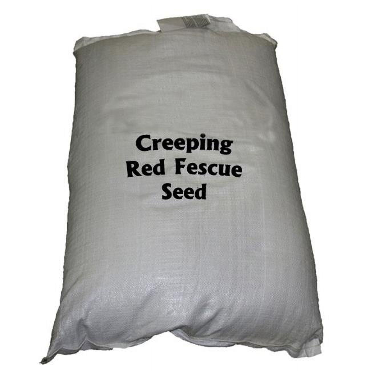 Country Boy Seed 50LBCRPFES 50 lbs Creeping Red Fescue Seed - Pack of ...
