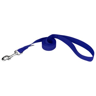 Invisible Dog Leash - Walmart.com