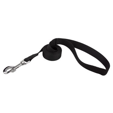 Walmart's Invisible Dog Leash for Pet Walking - Gag Gift & Prank ...