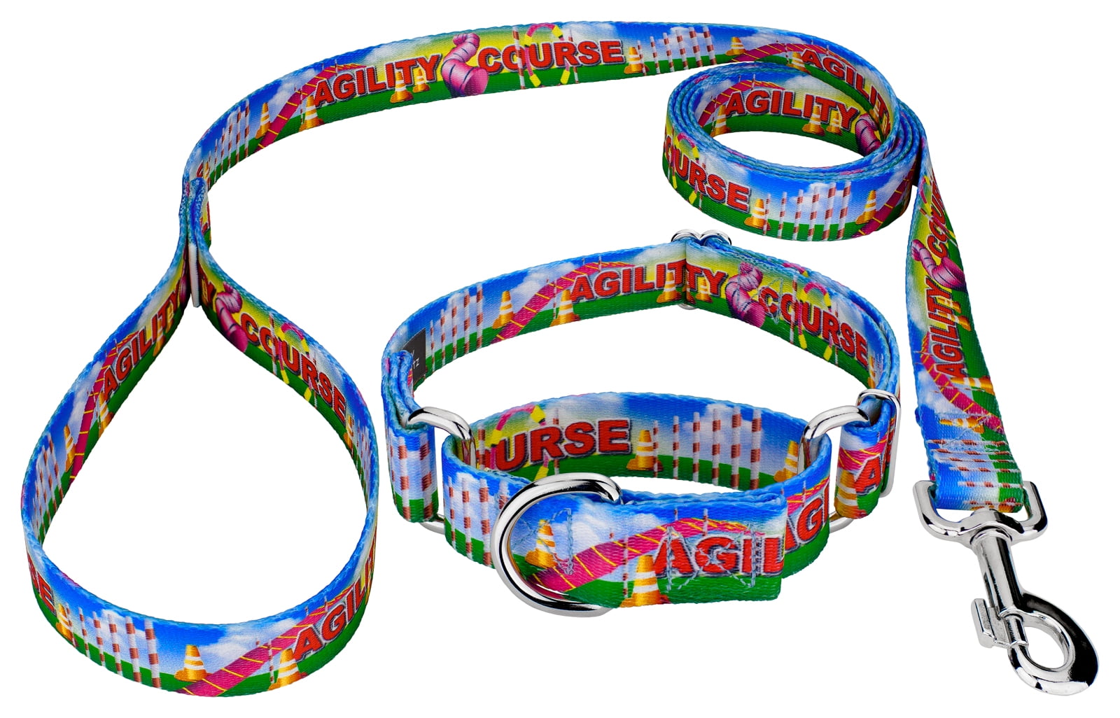 Country Brook Petz® Agility Martingale Dog Collar and Leash Limited ...