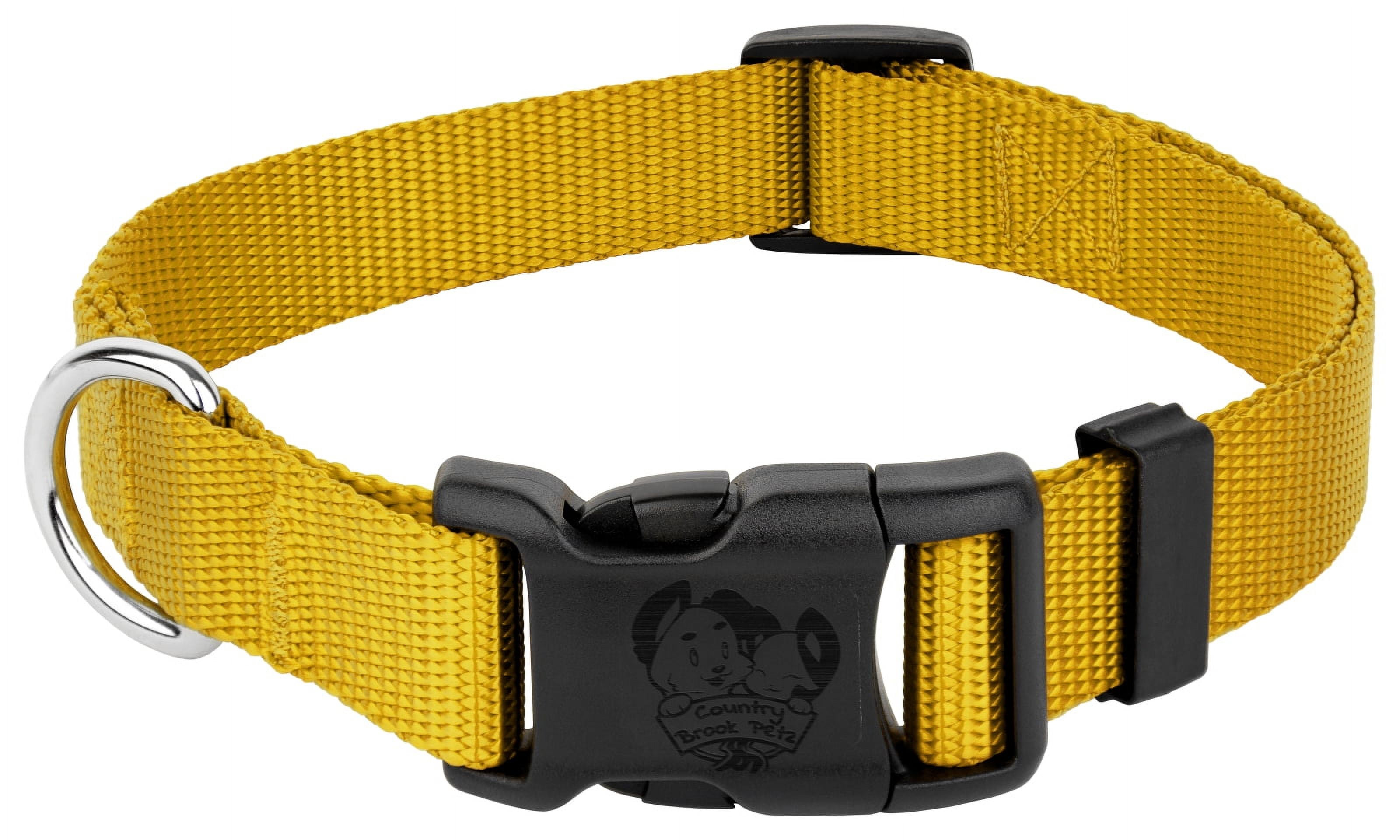 Country Brook Petz® Everyday Gold Nylon Dog Collar, Medium - Walmart.com