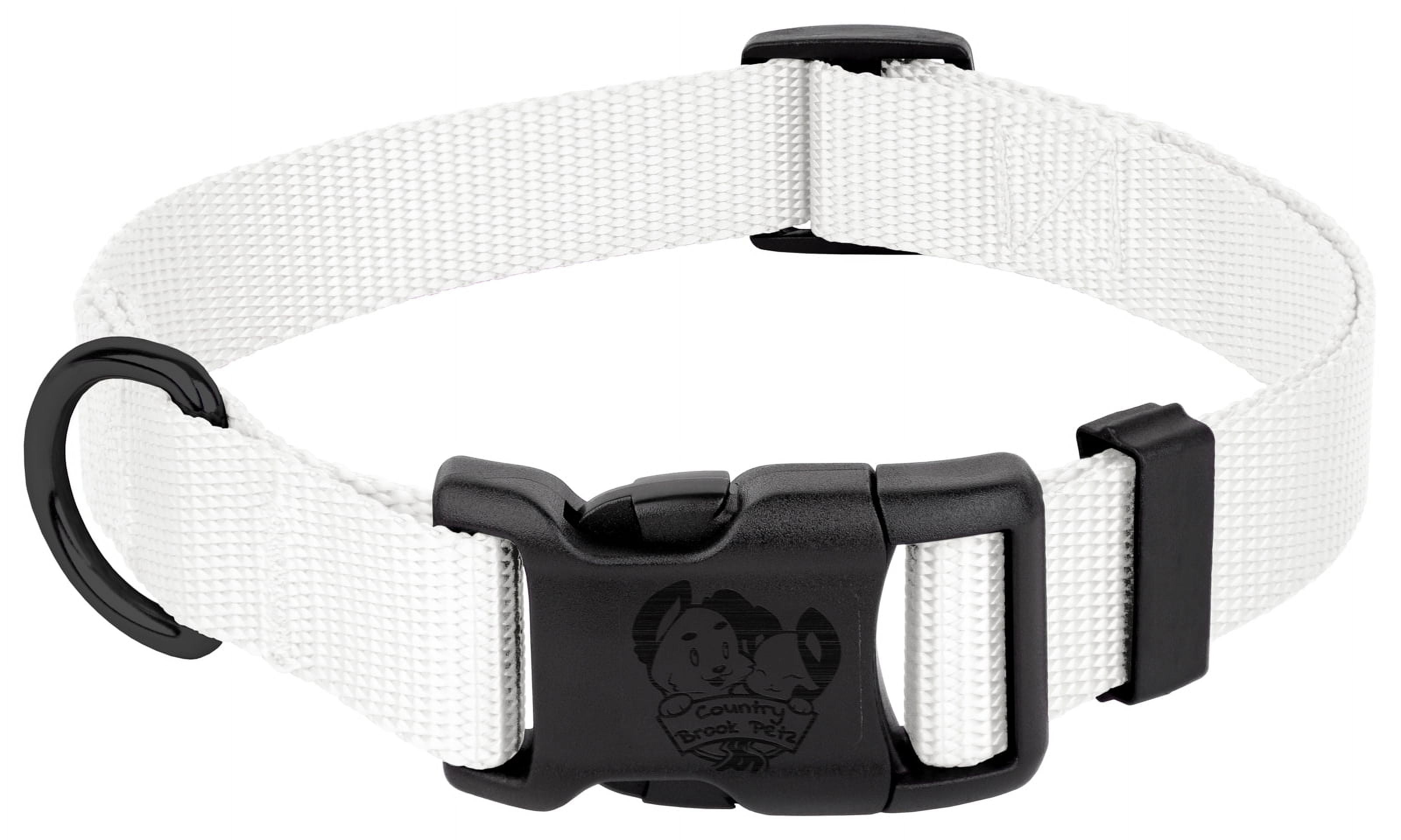Country Brook Petz® Everyday White Nylon Dog Collar, Small - Walmart.com
