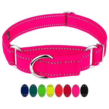Mighty Paw Martingale Nylon Training Collar. Our Trainer Approved ...
