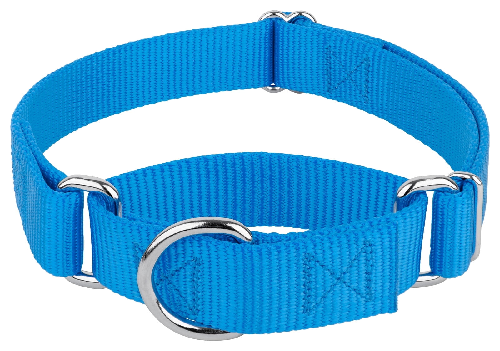 Country Brook Design Ice Blue Martingale Heavy-Duty Nylon Dog Collar ...