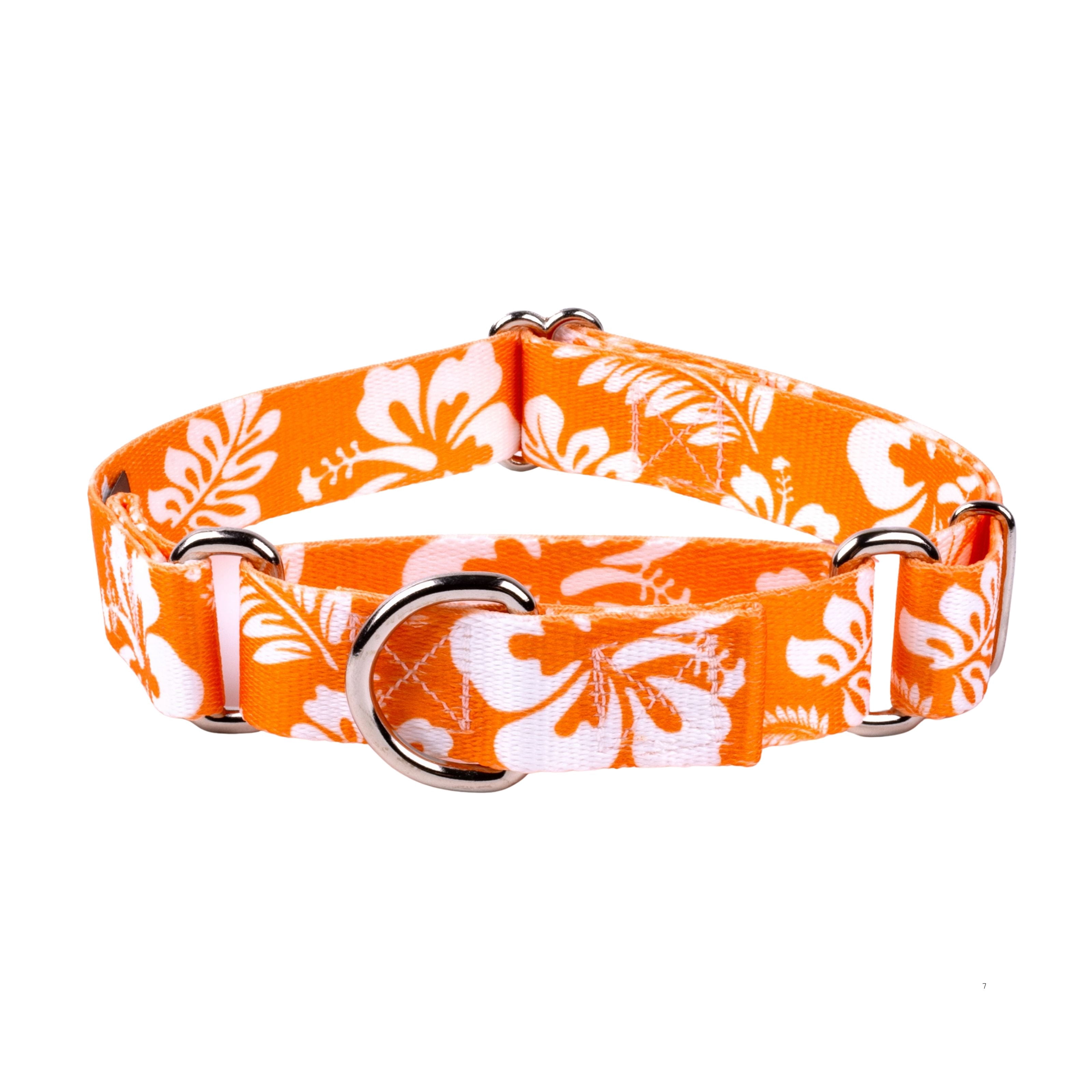 Country Brook Petz® Orange Hawaiian Martingale Dog Collar, Extra Small ...