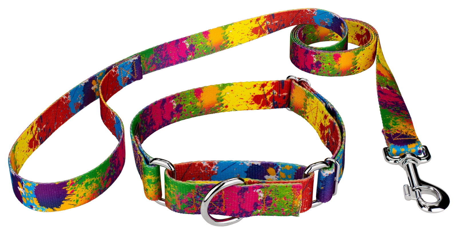 Country Brook Petz® Paint Splatter Martingale Dog Collar and Leash, Large - Walmart.com