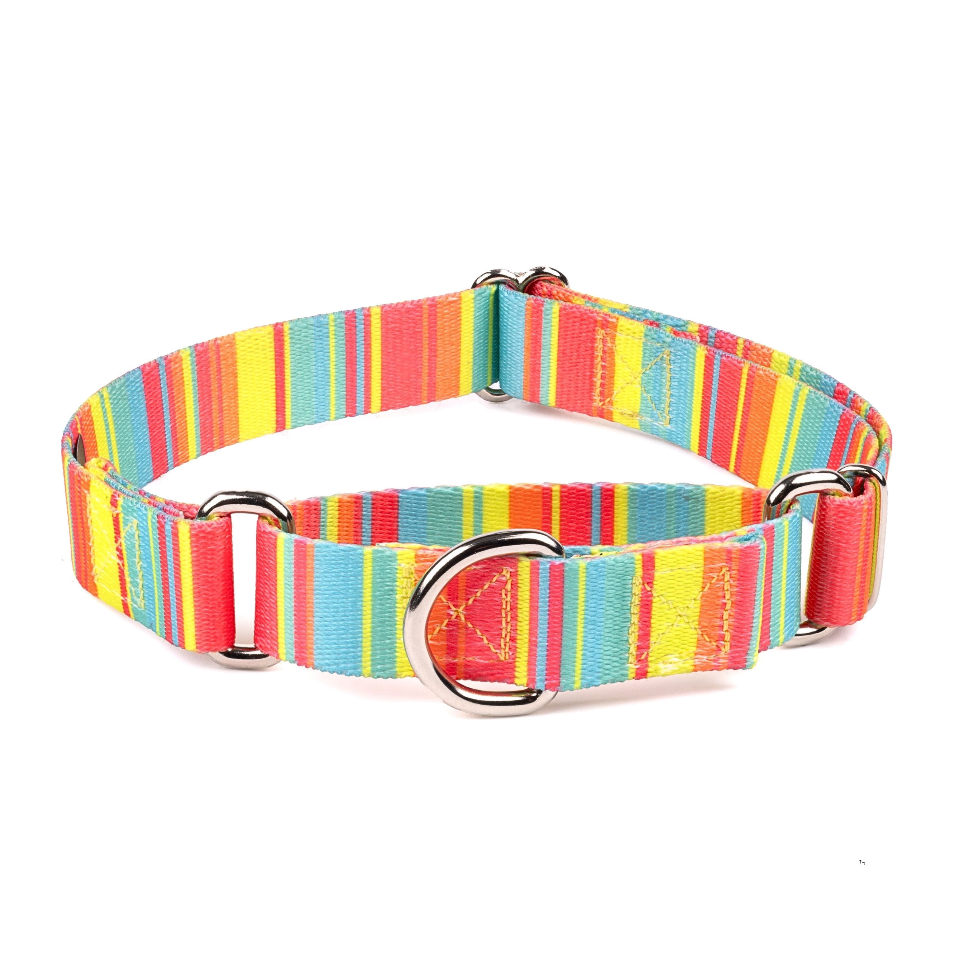 Country Brook Petz® Sorbet Stripes Martingale Dog Collar, Extra Large ...