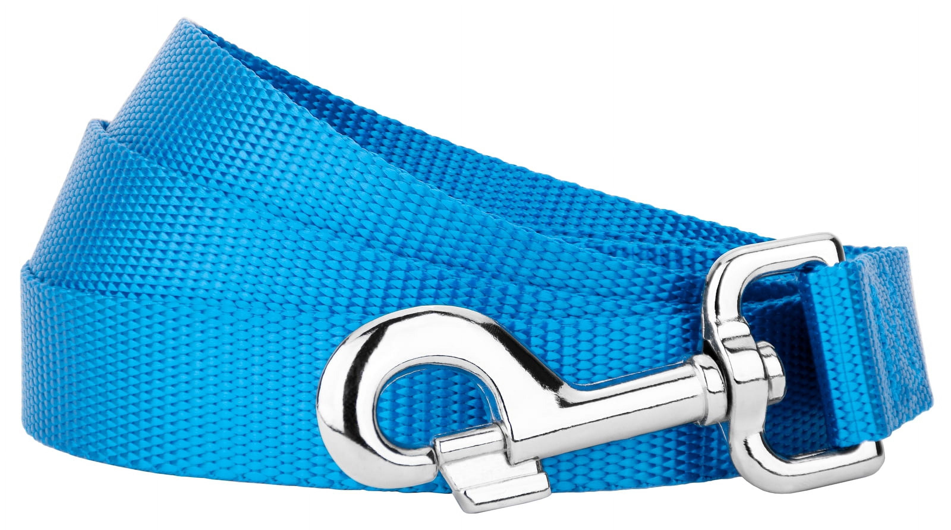 Country Brook Petz - Vibrant 22 Color Selection - Nylon Dog Leash (3/8 ...