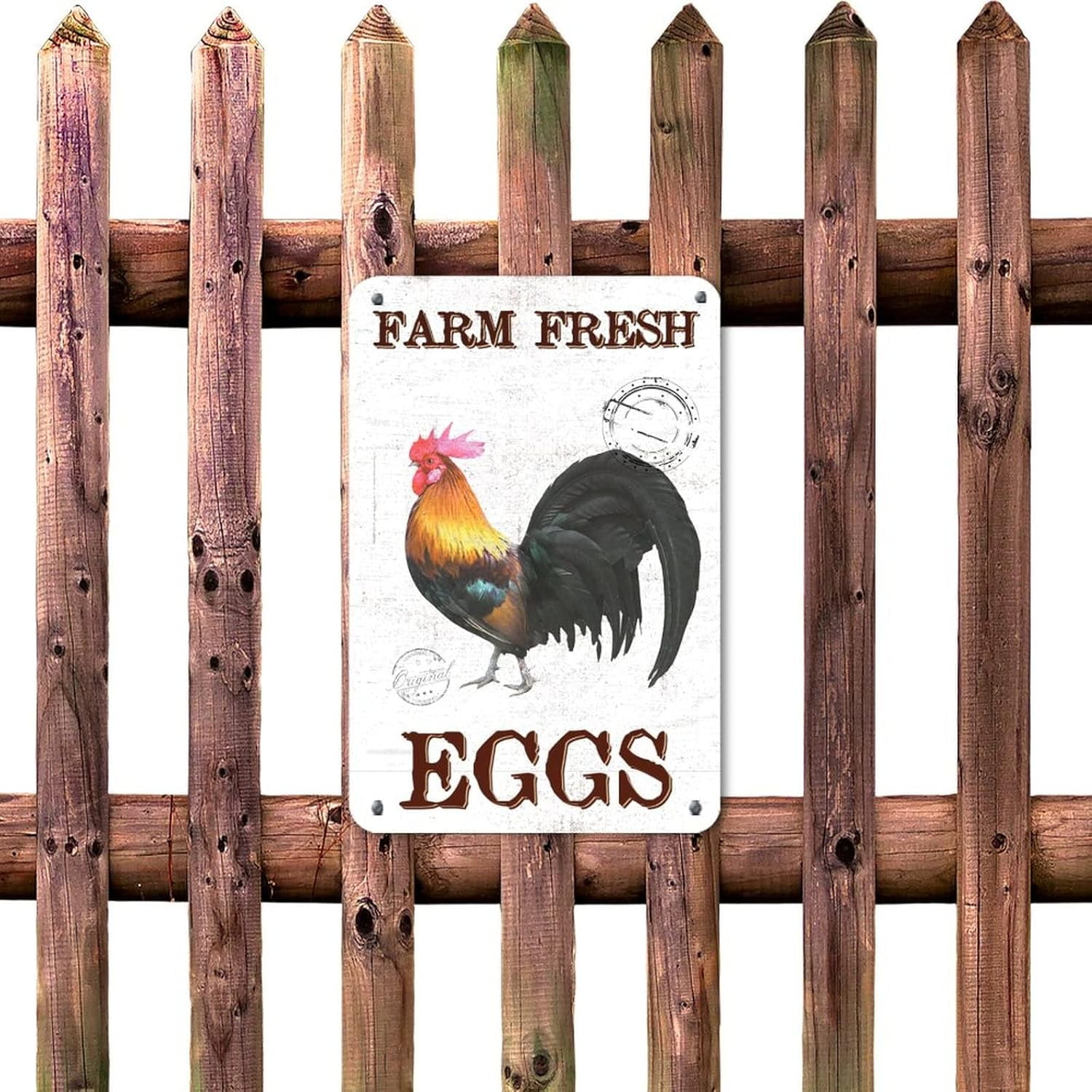 Country Farm Fresh Eggs Metal Tin Sign Chicken Hen Rooster Tin Signs ...