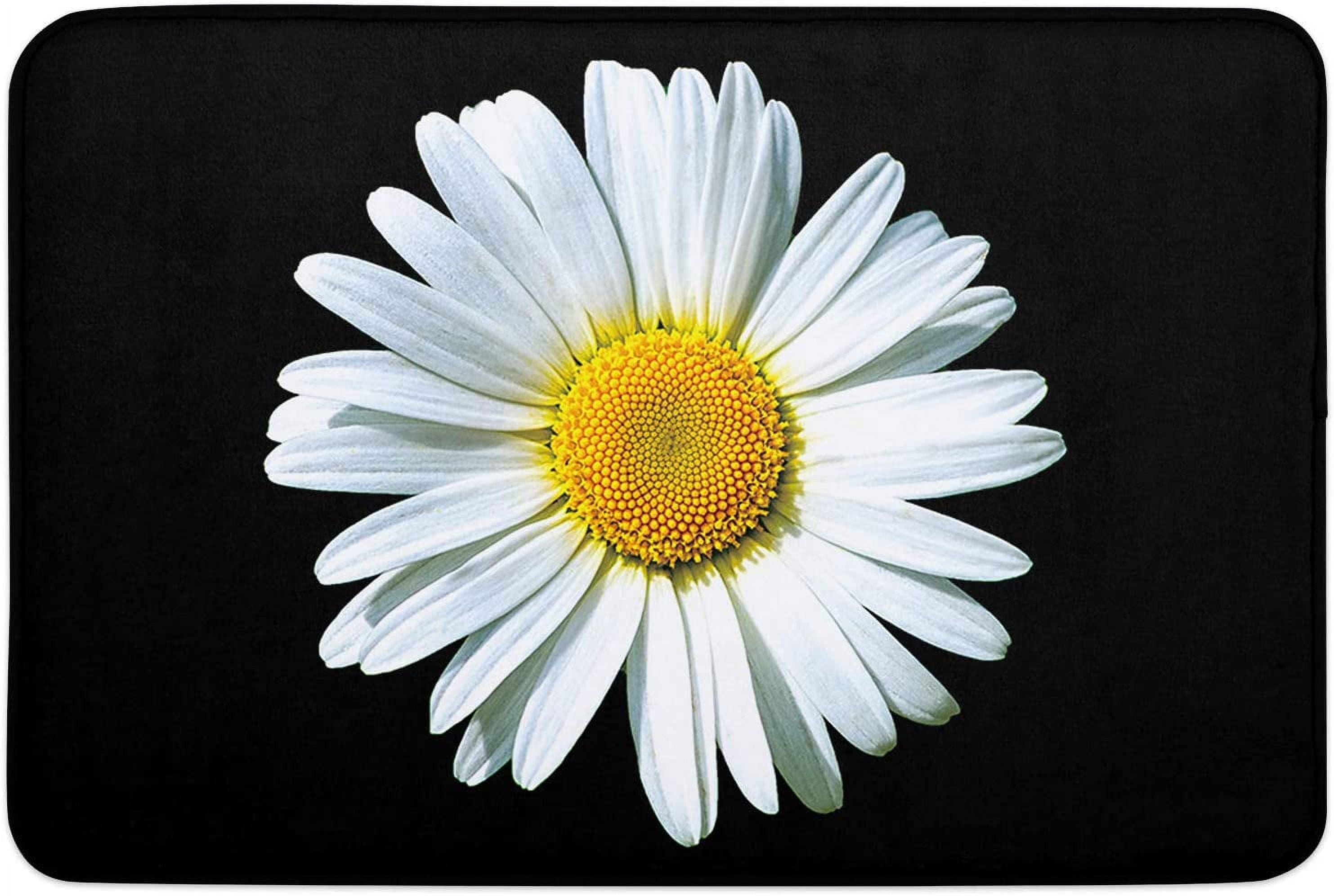 Country Flower Felt Door Mats Daisy Flowers Black Background Outdoor ...