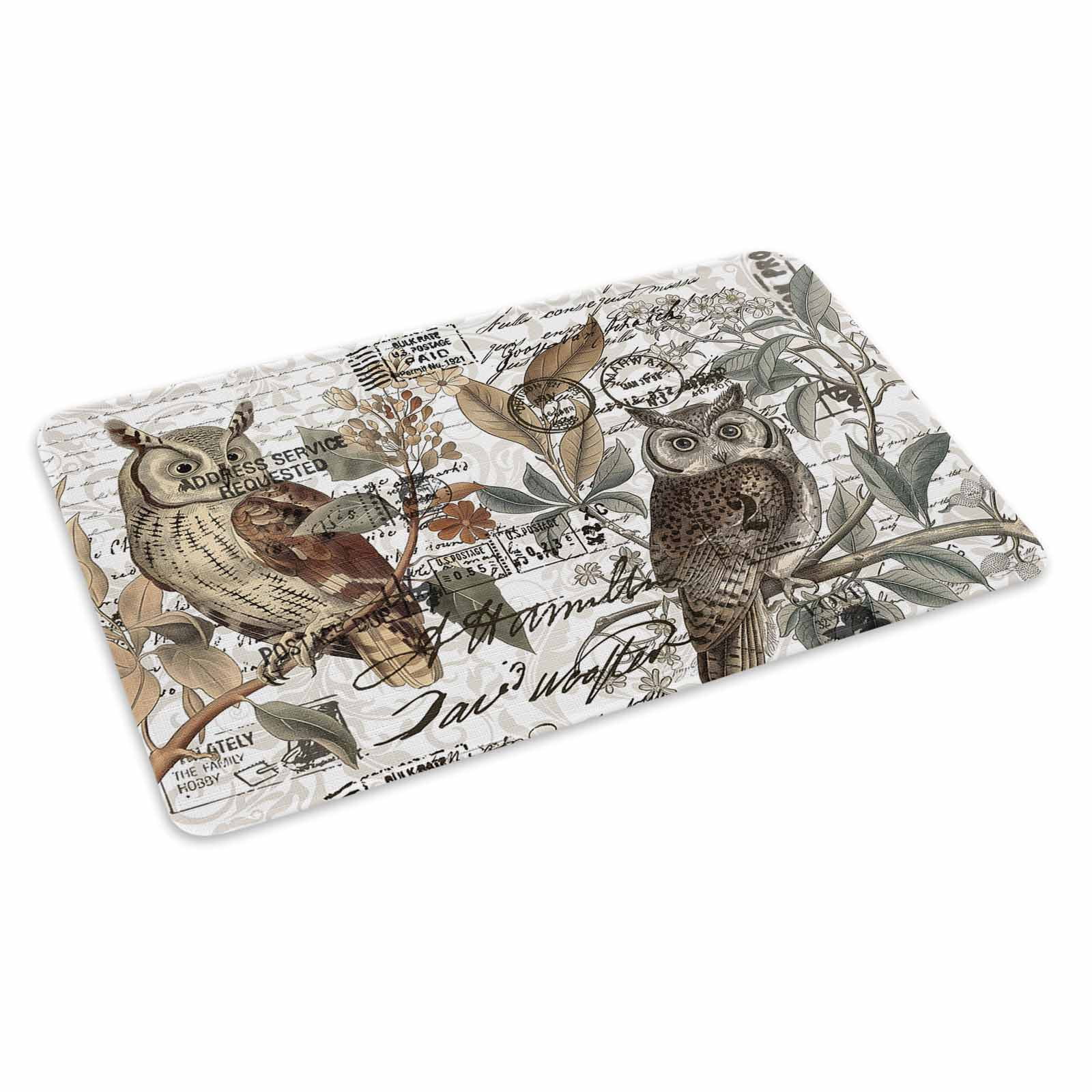 Country Owl Doormat Outdoor Entrance 20"x31.5", Farmhouse Sping Floral ...