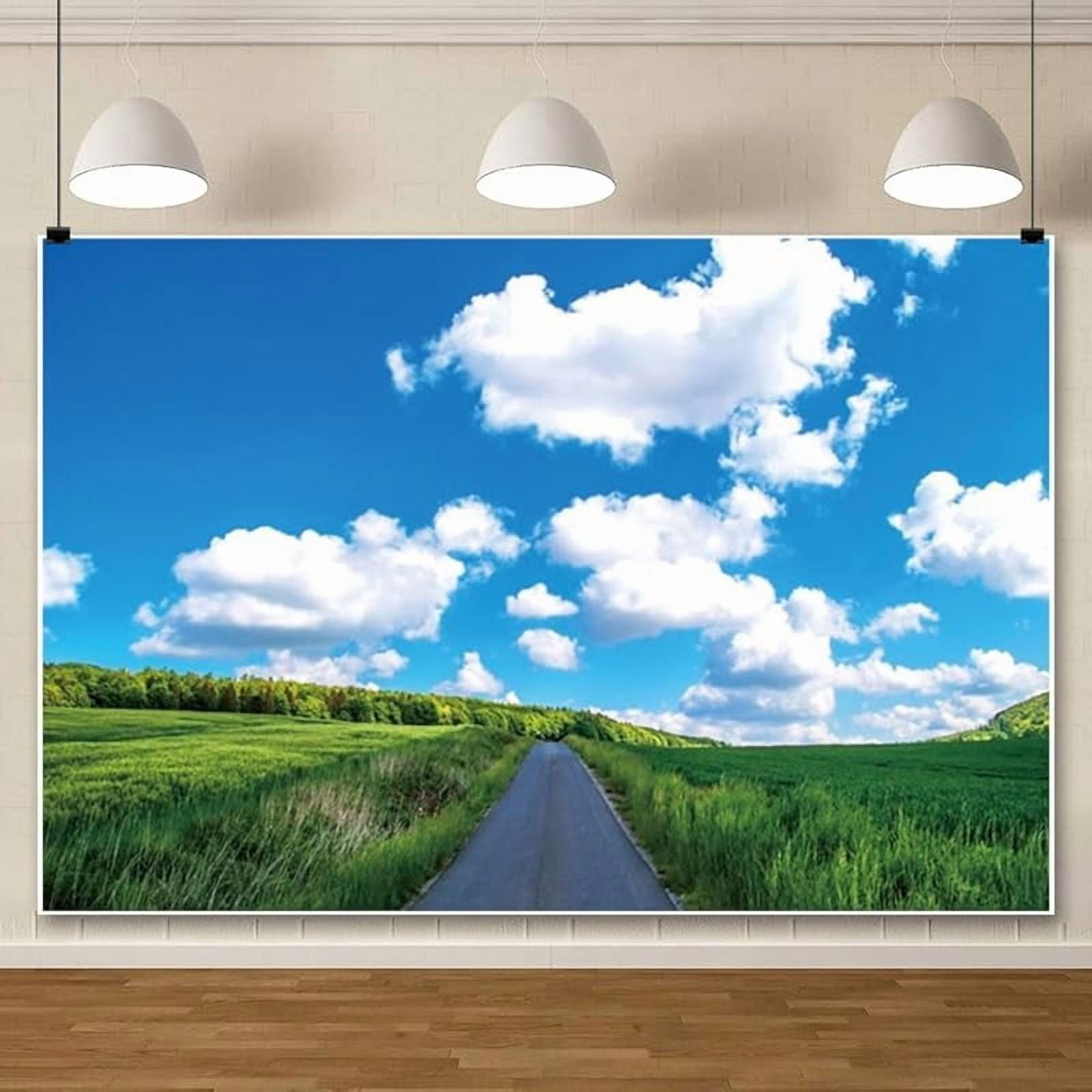 Country Road Backdrop Spring Summer Nature Scenery Green Meadow Sky ...