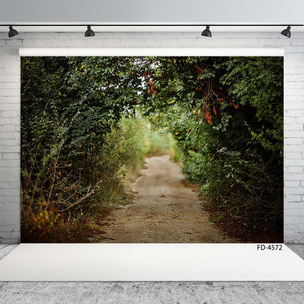 Country Road Path Scenery Photographic Backgrounds Computer Printed ...