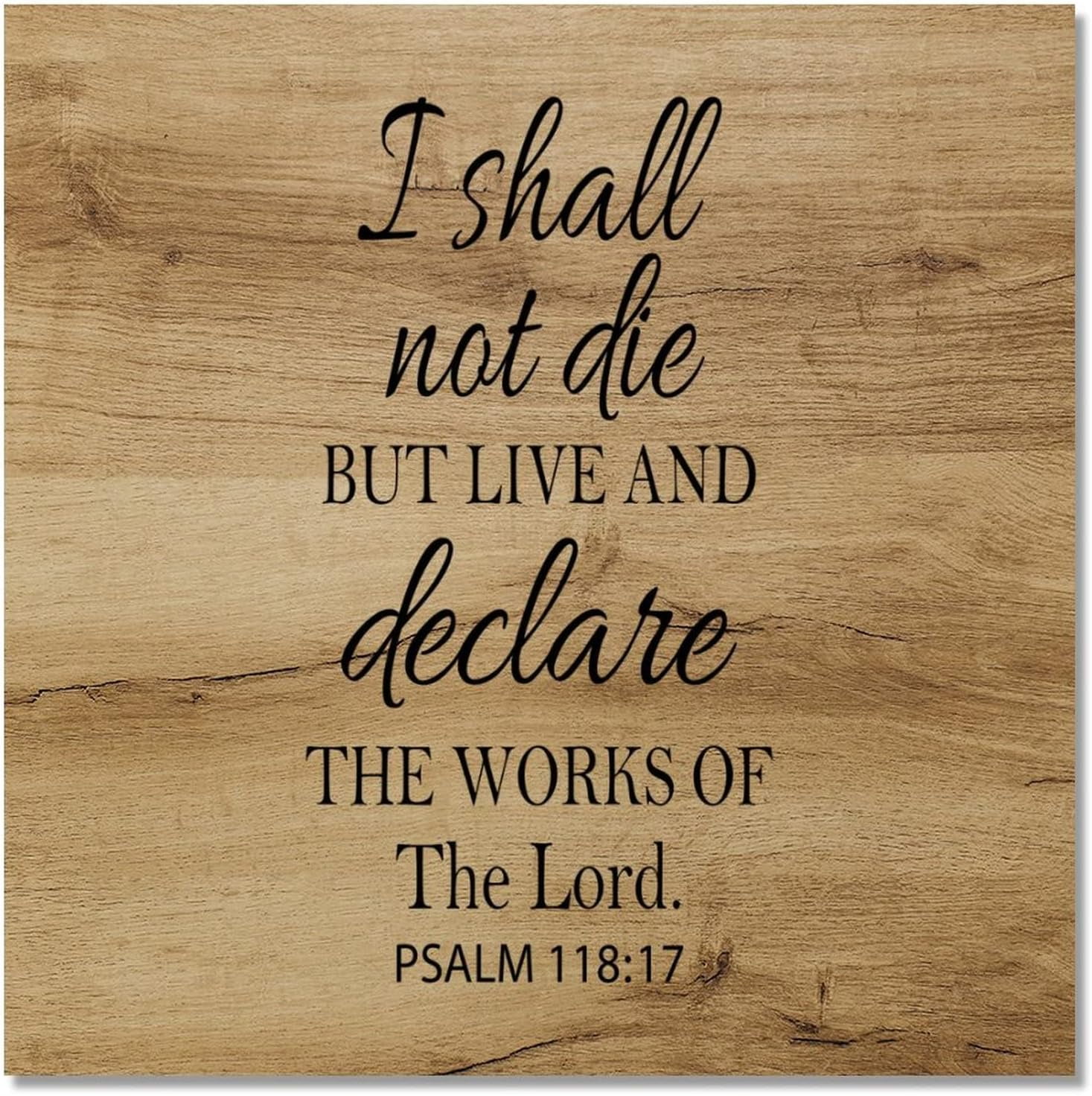 Country Rustic Style Wooden Wall Signs Bible Verse I Shall Not Die Wood ...