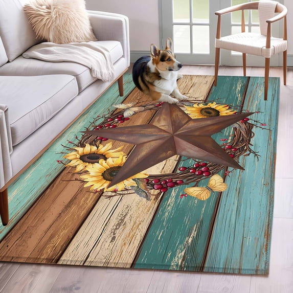 Country Star Vintage Kitchen Runner Rug 2.7x5 Washable Runners for ...