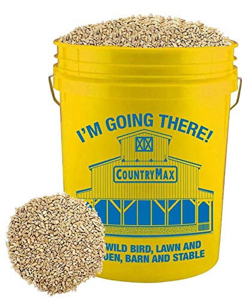 CountryMax Sunflower Chips Medium Sized Shelled No Waste Bird Seed (20 ...