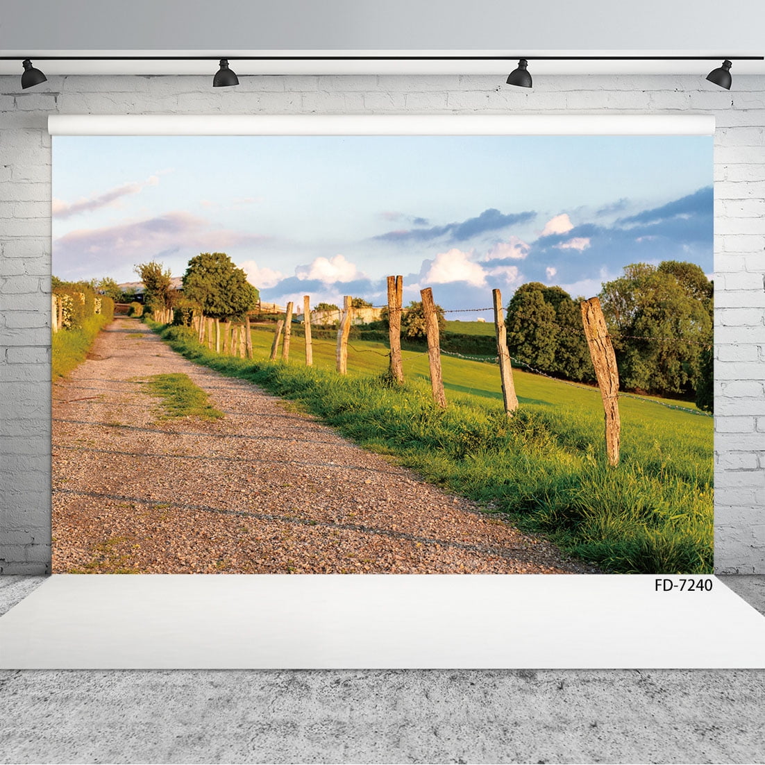 Countryside Field Path Way View Photography Backgrounds Photocall Photo ...